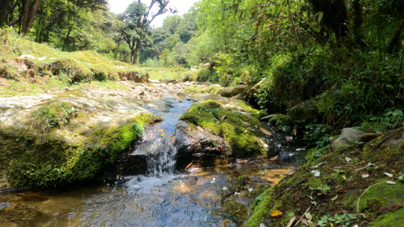 Mundum trekking Trail – Explore the Hidden Gem of Eastern Nepal Mundum ...