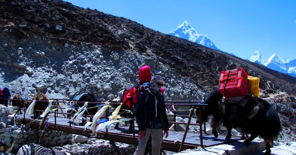Porters in Nepals himalaya | Berg Reisen Nepal Pvt. Ltd. | Berg Reisen ...